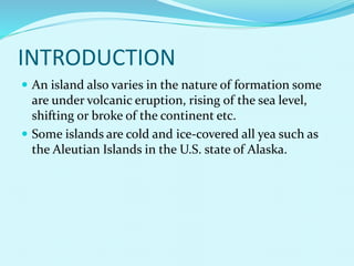 Factors determine number of species on island | PPT