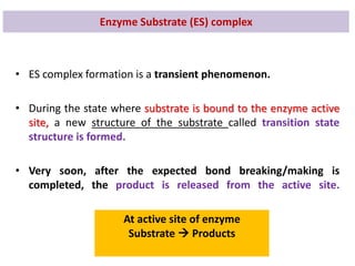 Factors effect enzyme function | PPT