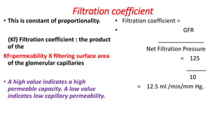 EVENTS OF URINE FORMATION (The Guyton and Hall physiology) | PPTX