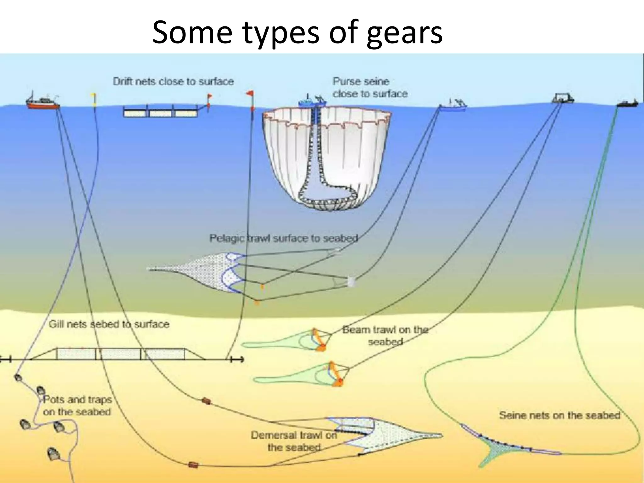 Factors considered for designing or selection fishing gear, | PPTX