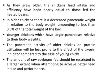 Factors influence feed intake in poultry | PPTX