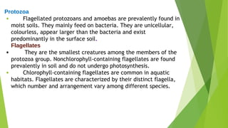 factors influencing the soil microflora in microbiology | PDF