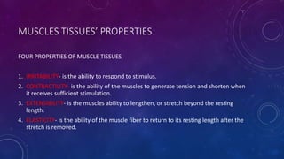 Factors influencing bone health.pptx