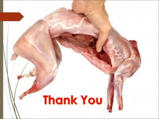 Factors influencing carcass composition | PPT