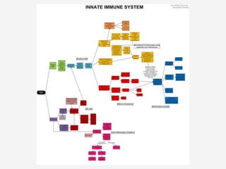 Immunology - Innate and Acquired Immunity | PPTX