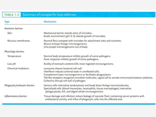 Immunology - Innate and Acquired Immunity | PPTX