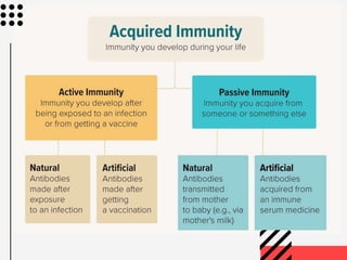 Immunology - Innate and Acquired Immunity | PPTX