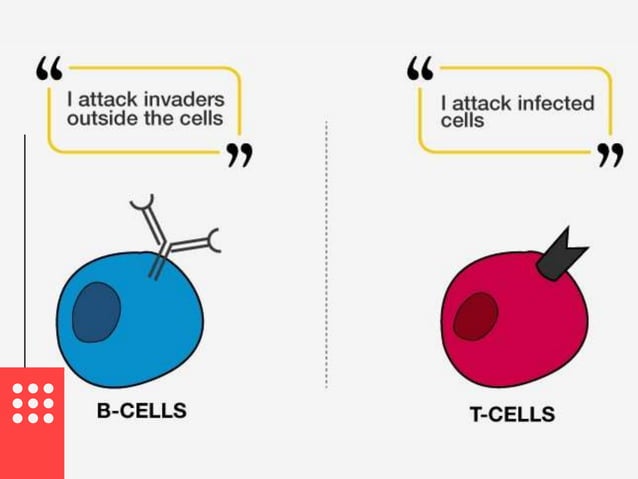 Immunology - Innate and Acquired Immunity | PPTX