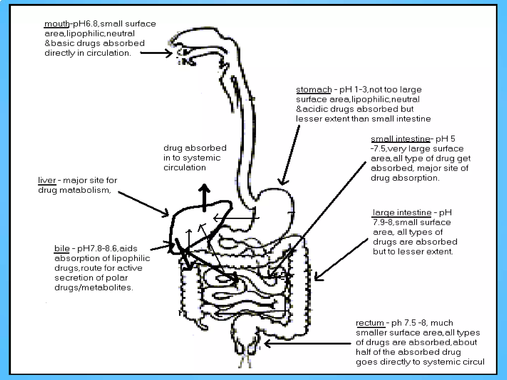 FACTORS INFLUENCING DRUG ABSORPTION THOUGH GIT (1).pptx