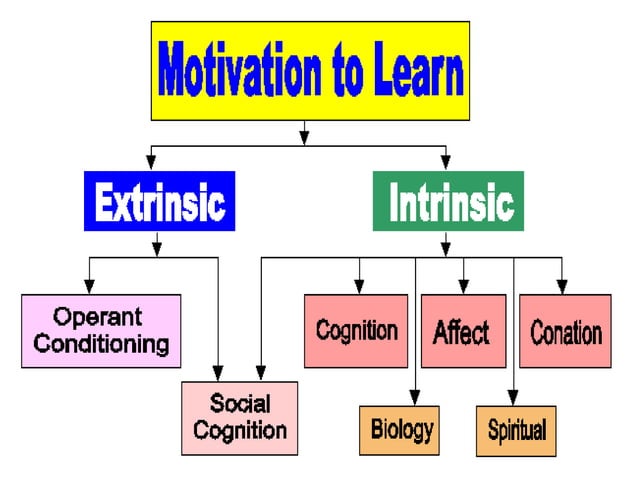 FACTORS INFLUENCING LEARNING | PPTX | Professional School ...