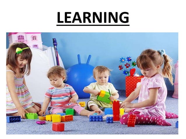 FACTORS INFLUENCING LEARNING | PPTX | Professional School ...