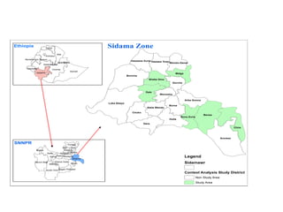 Factors influencing motivation of health extension workers in sidama ...