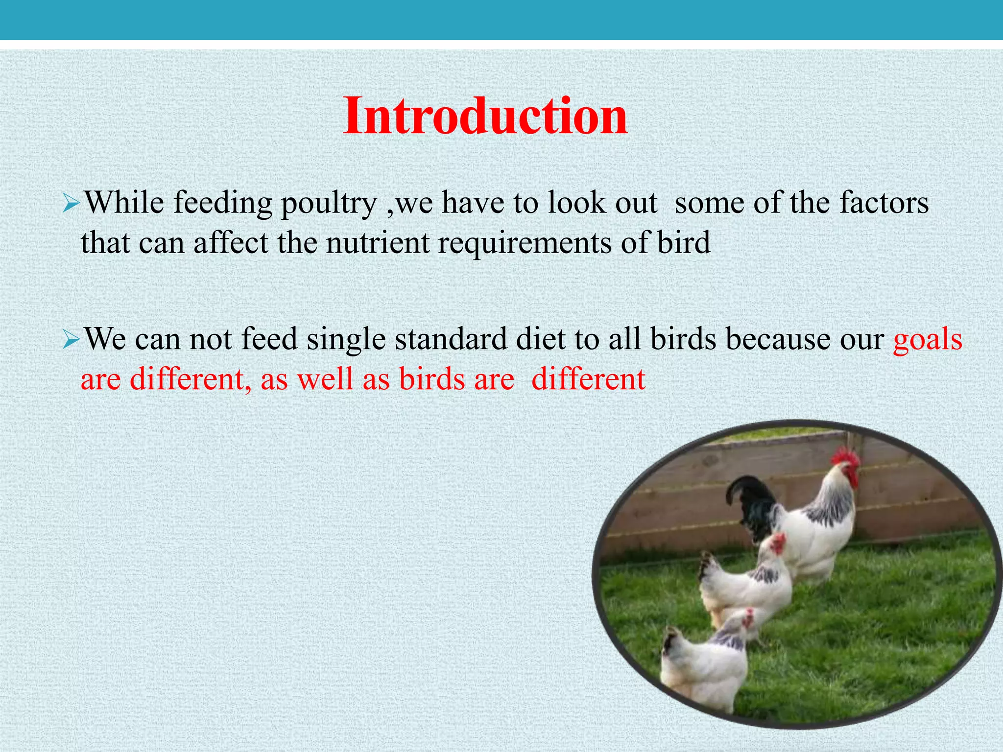Factors influencing the nutrient requirements in poultry | PPTX