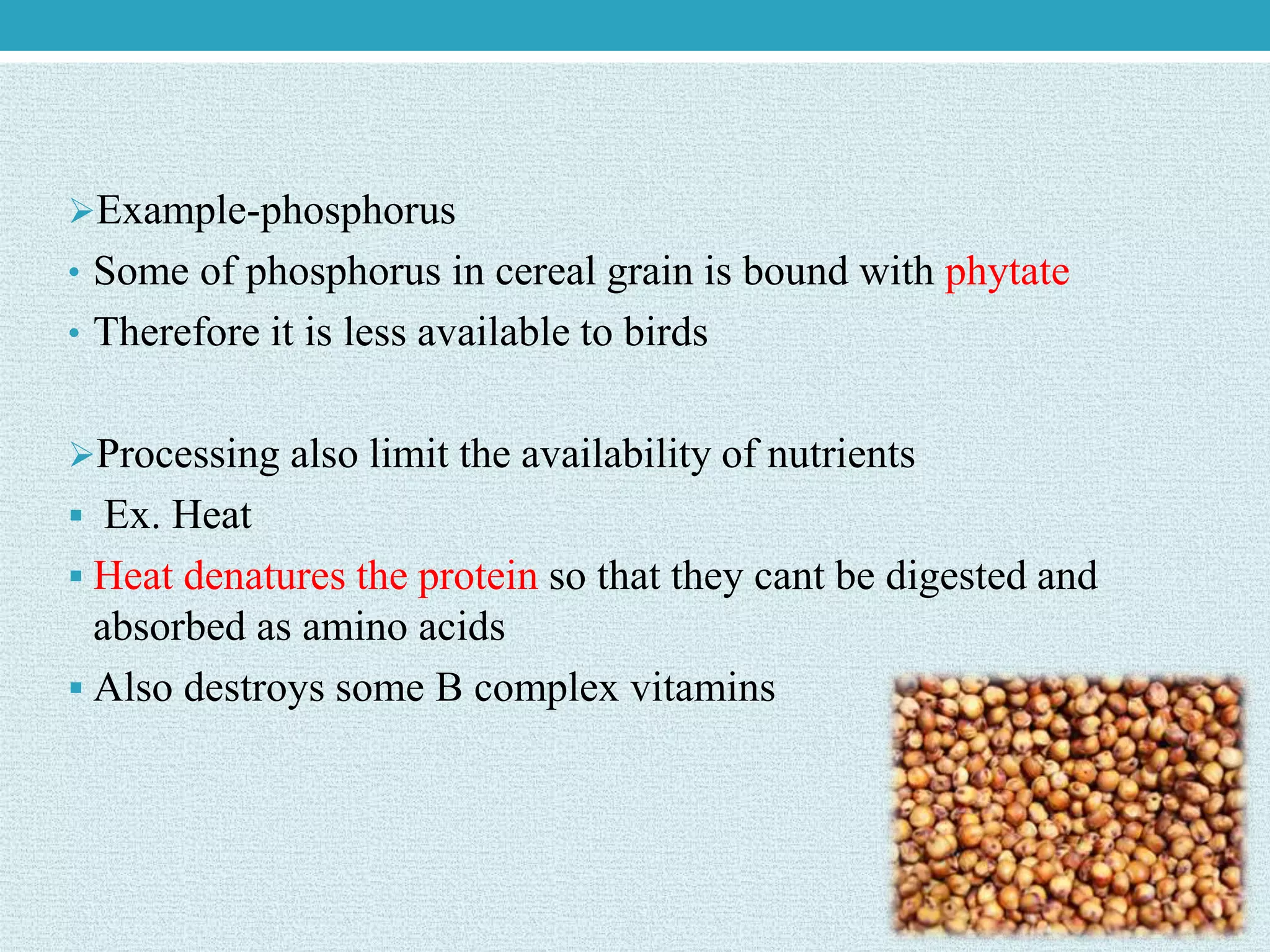 Factors influencing the nutrient requirements in poultry | PPTX