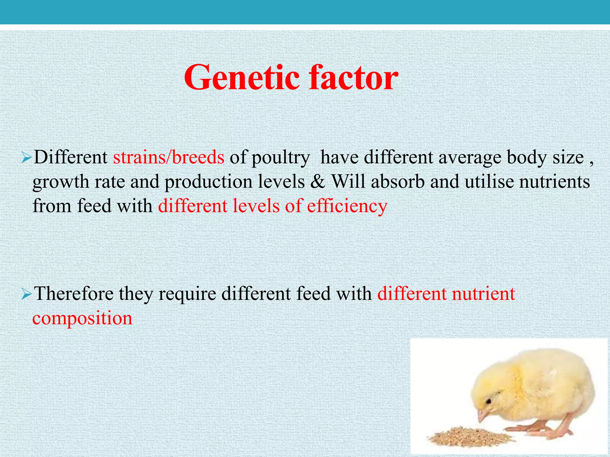 Factors influencing the nutrient requirements in poultry | PPTX