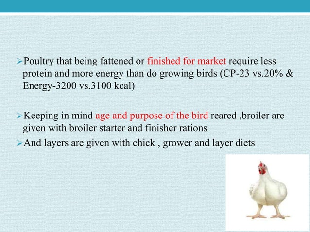 Factors influencing the nutrient requirements in poultry | PPTX ...