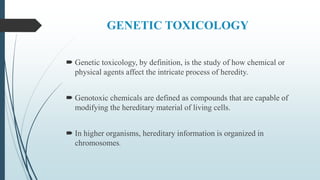 Factors influencing toxicity-new Environmental, Genetic, Nutritional.pptx