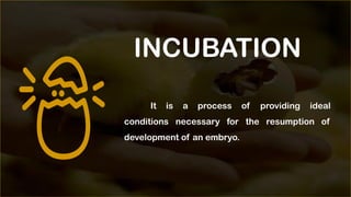 Factors in successful incubation | PDF