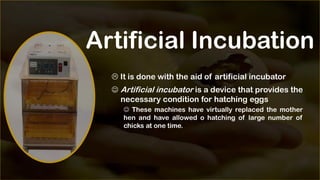 Factors in successful incubation | PDF