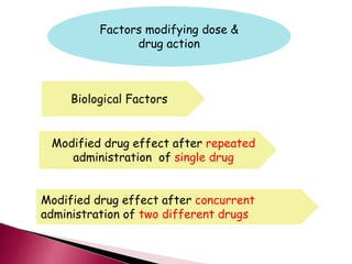 Factors modifying dose and action of drugs | PPTX