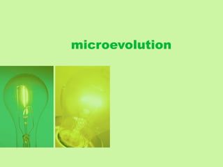 Microevolution | PPT