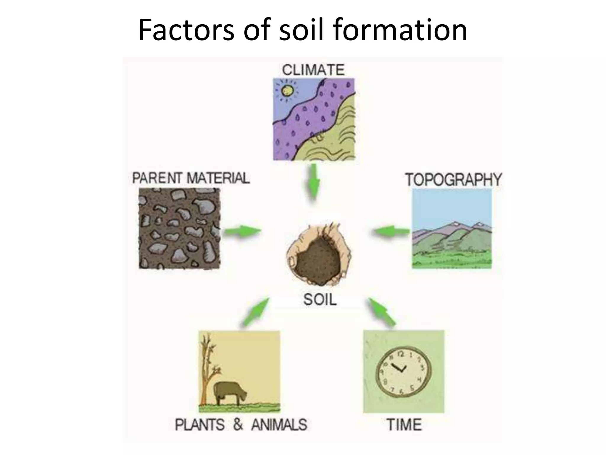 Factors of soil formation | PPTX