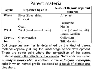 Factors of soil formation | PPTX