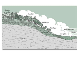Factors of soil formation | PPTX