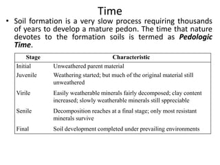 Factors of soil formation | PPTX