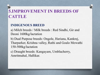 Factors responsible for Milk Production in India | PPT