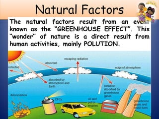 Factors That Affect Aquatic Habitats | PDF