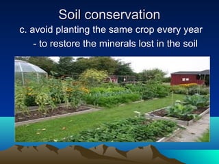 Factors that can harm the soil | PPT