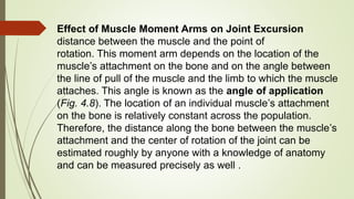 Factors that influence a muscle contraction | PPTX