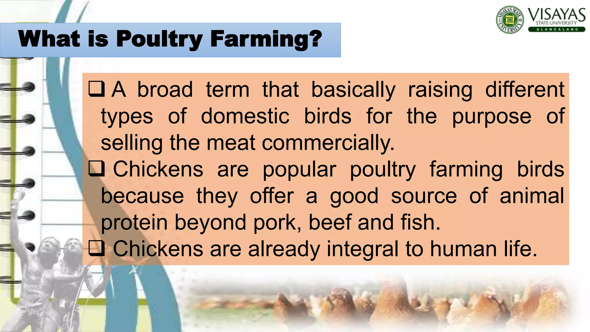 FACTORS TO CONSIDER IN POULTRY PRODUCTIONS.pptx