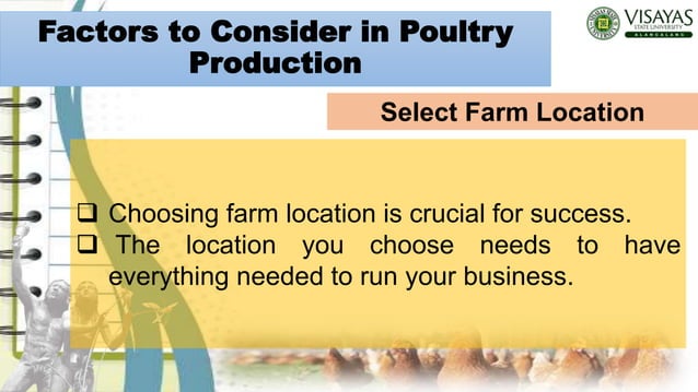 FACTORS TO CONSIDER IN POULTRY PRODUCTIONS.pptx | Agriculture | Industries