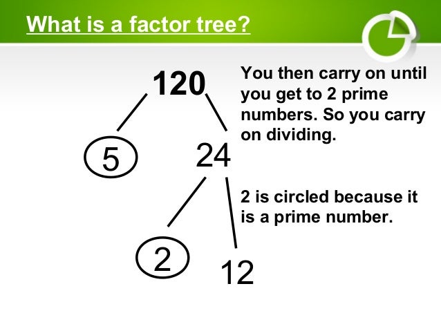 Factor trees