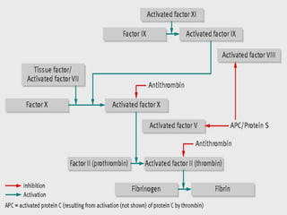 Factor v deficiency | PPTX