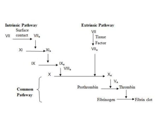 Factor v deficiency | PPTX
