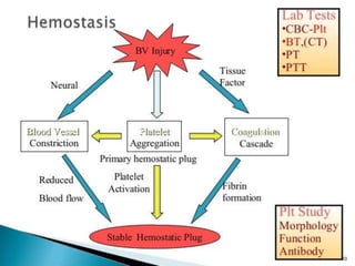 Factor v deficiency | PPT