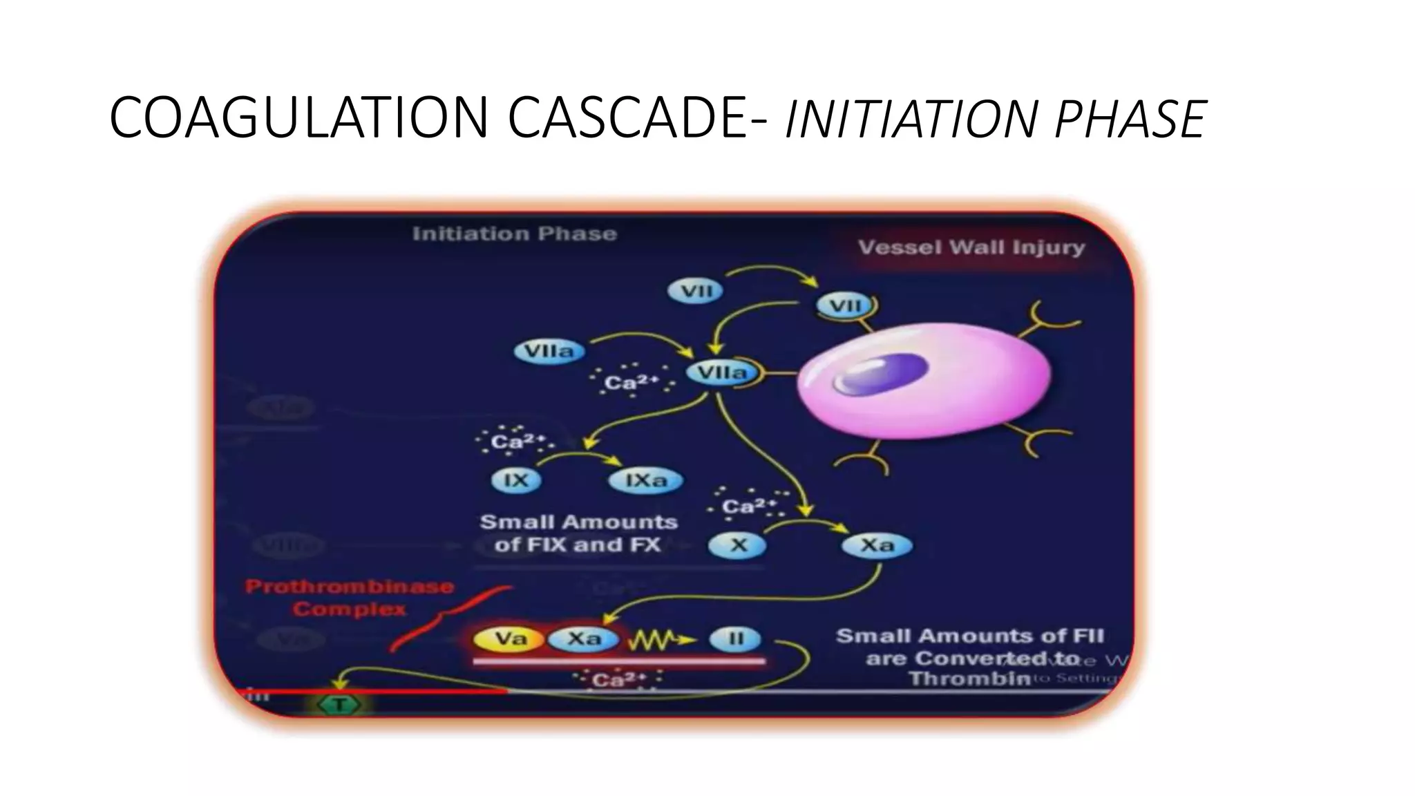 Factor xa inhibitors | PPTX