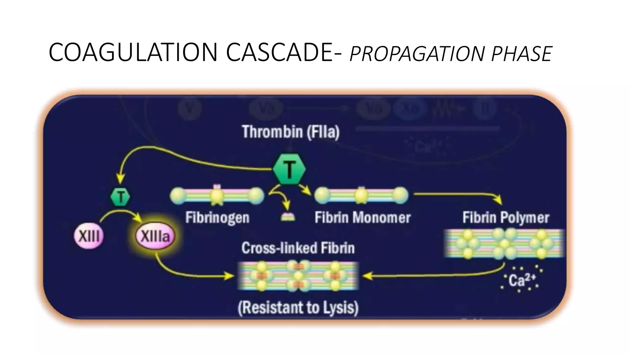 Factor xa inhibitors | PPTX