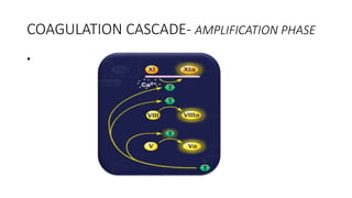 Factor xa inhibitors | PPTX