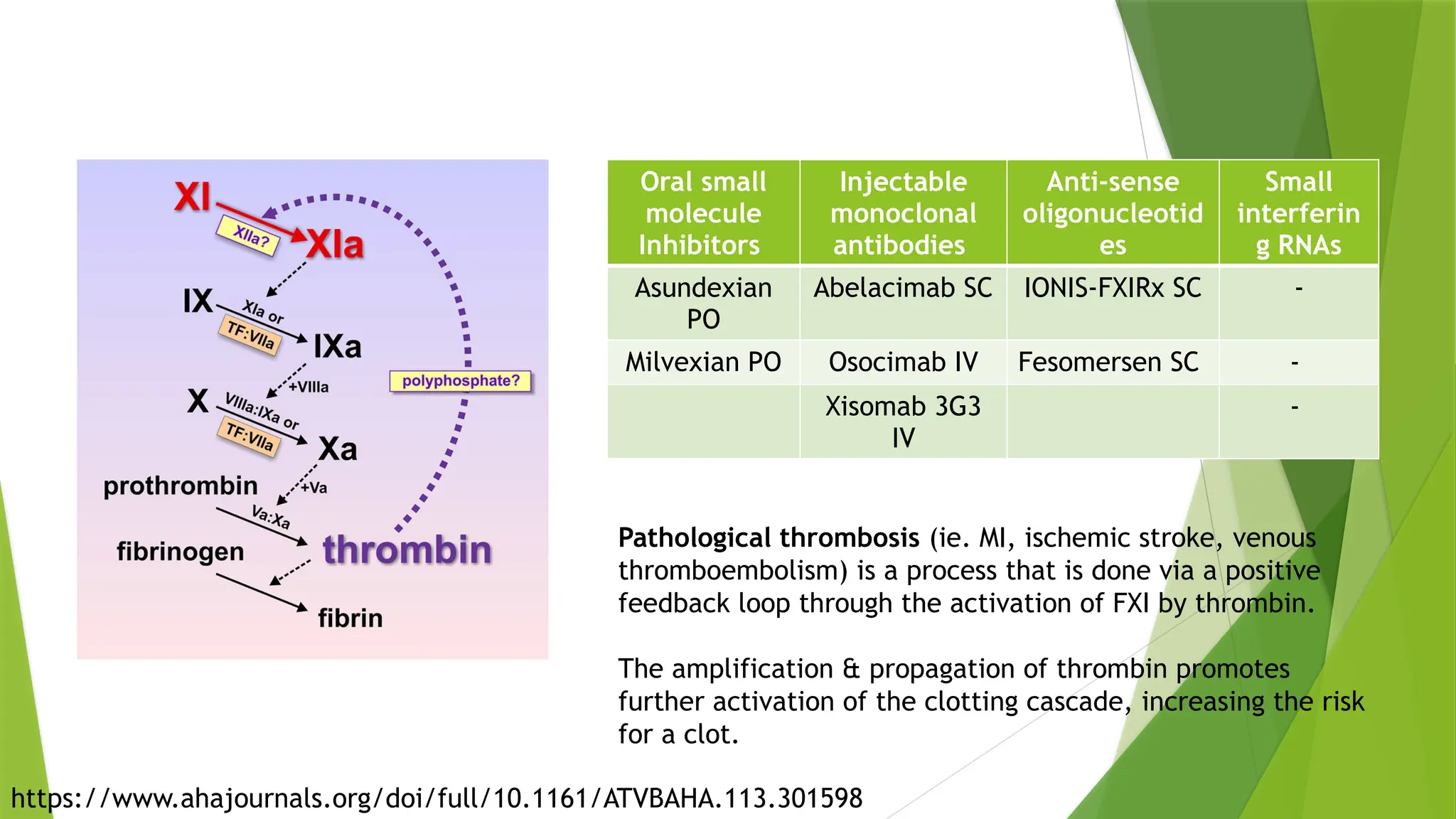 New Anticoagulant Drug Class Factor XI Inhibtiors.pptx