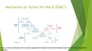 New Anticoagulant Drug Class Factor XI Inhibtiors.pptx