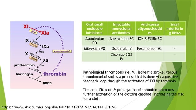 New Anticoagulant Drug Class Factor XI Inhibtiors.pptx