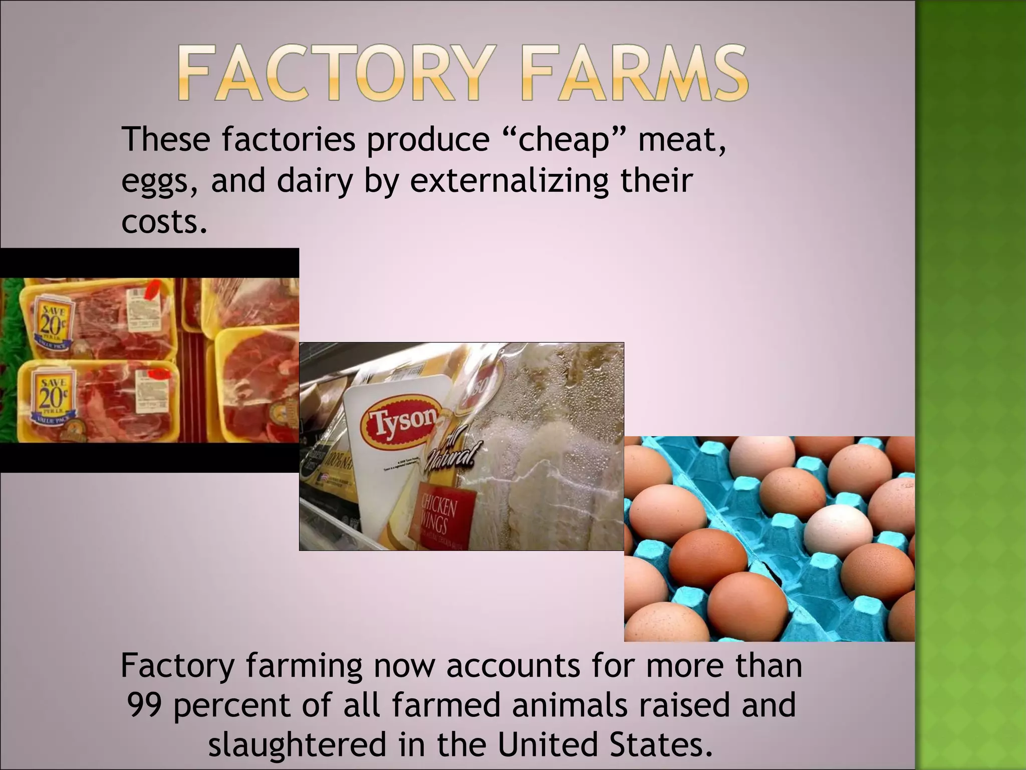 Factory Farming And The Impact On The Environment | PPT