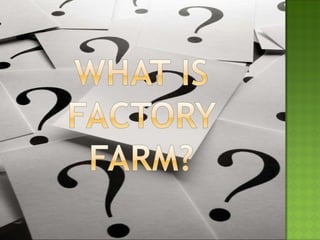 Factory Farming And The Impact On The Environment | PPT