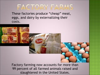 Factory Farming And The Impact On The Environment | PPT
