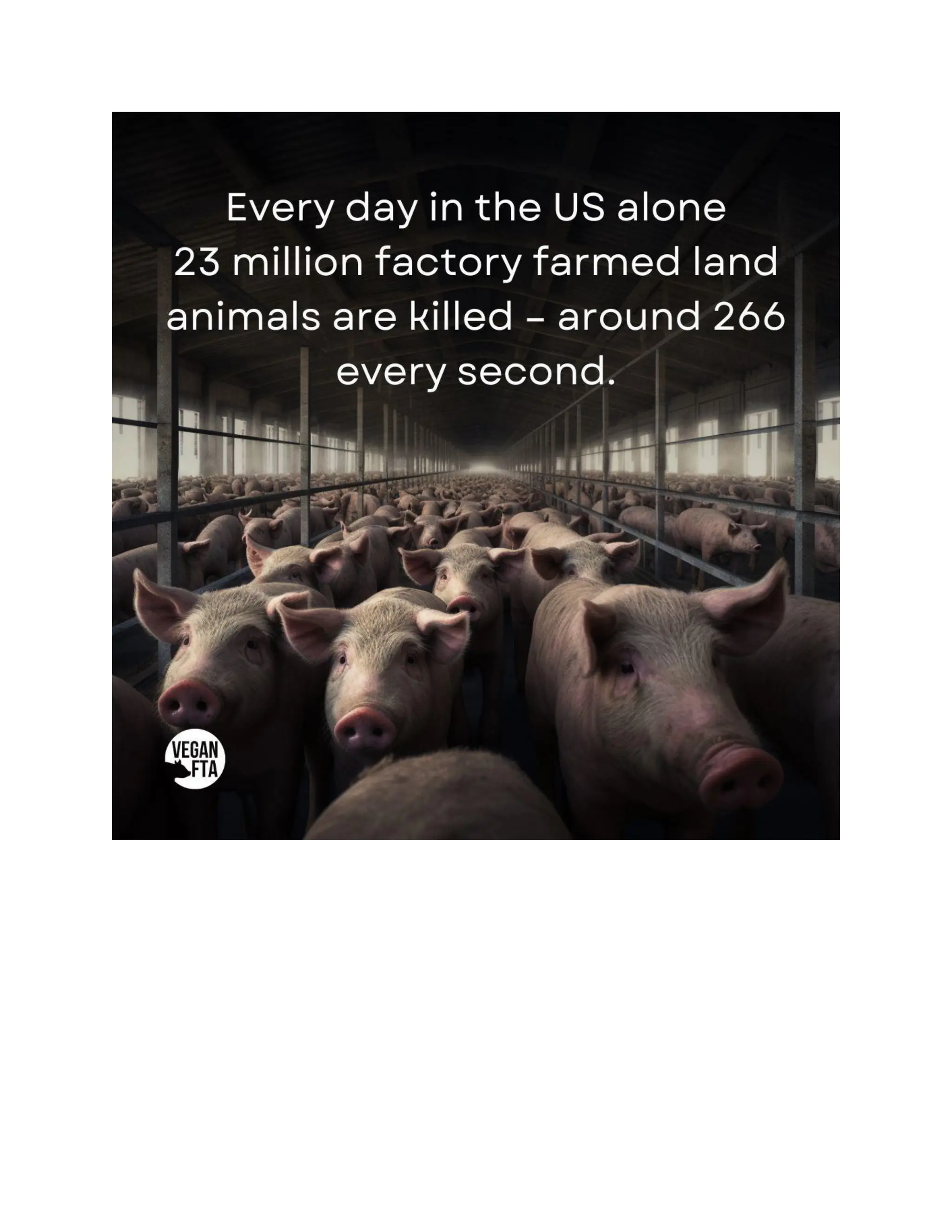 Factory Farming Cruelty for Animals .pdf