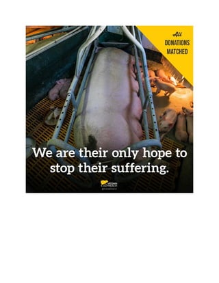 Factory Farming Cruelty for Animals .pdf